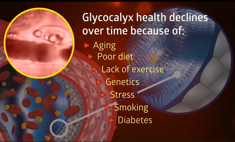 Truth for Health Foundation - A 501(c)(3) public charity incorporated ...