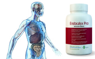 Truth for Health Foundation - A 501(c)(3) public charity incorporated ...