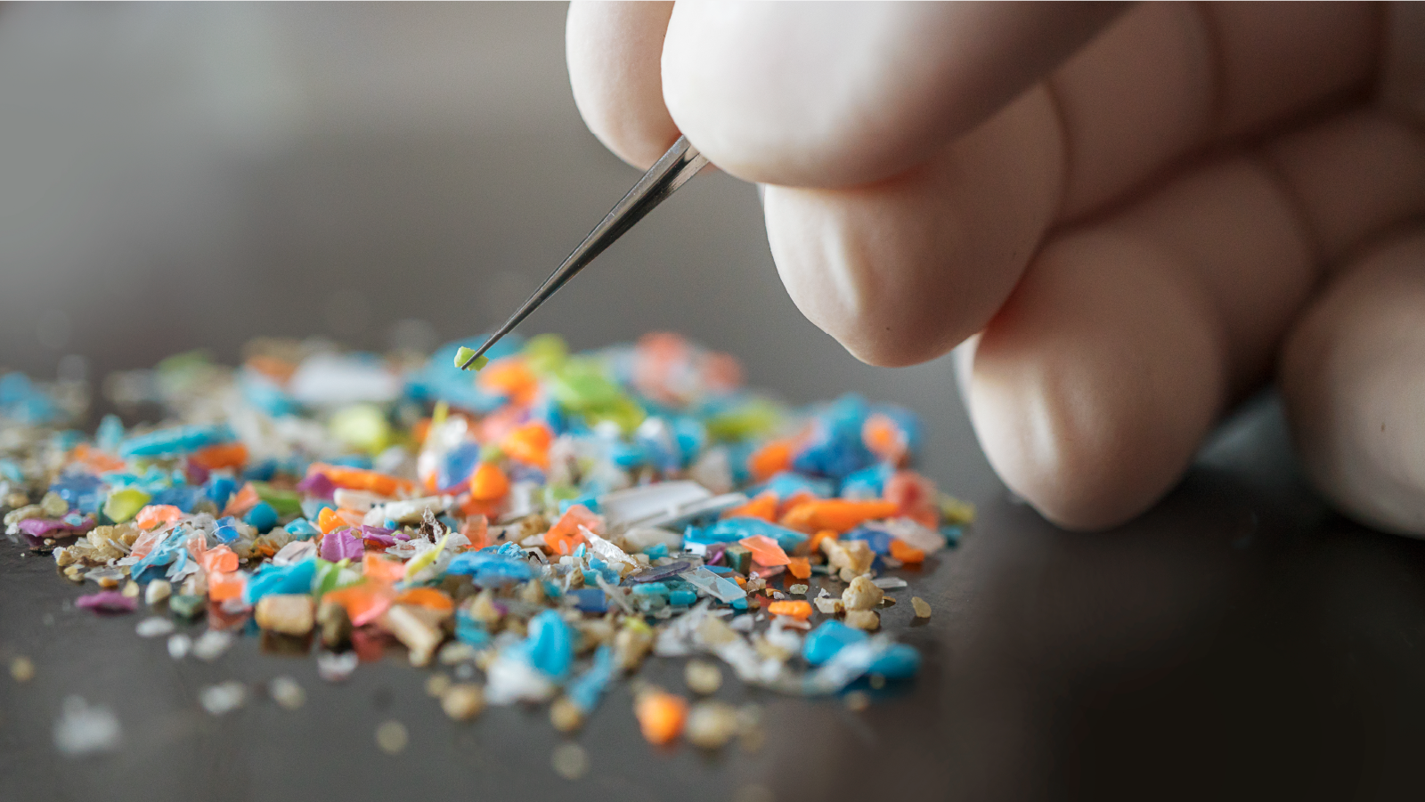 Microplastics in Your Brain and Body – Hidden Threat to Health - Truth ...